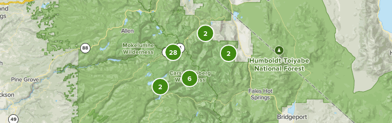 Best trails in Carson-Iceberg Wilderness, California | AllTrails