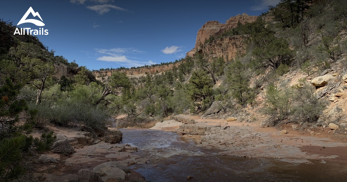 Best trails in Dark Canyon Wilderness, Utah | AllTrails