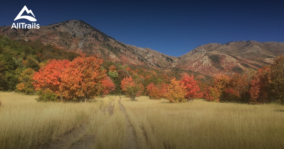 Best Trails In Wellsville Mountain Wilderness Utah Alltrails