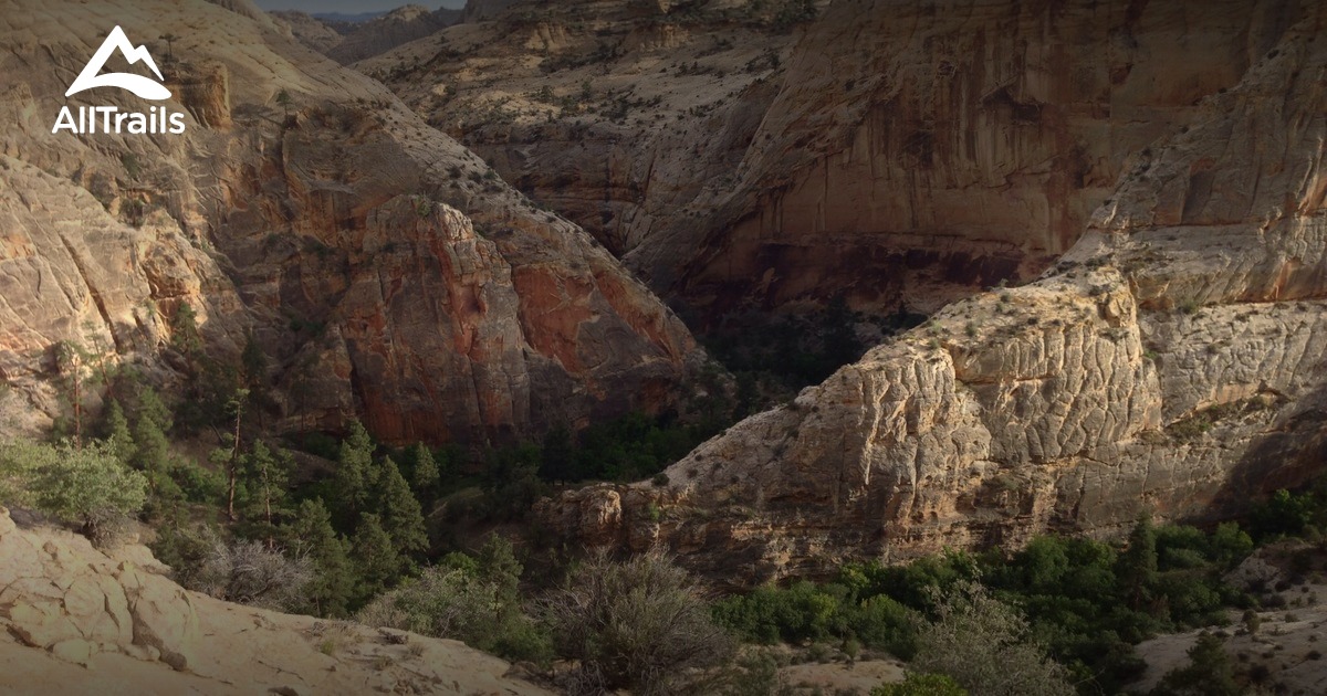 Best Trails in Box-Death Hollow Wilderness - Utah | AllTrails