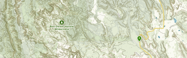 Best Trails in Box-Death Hollow Wilderness - Utah | AllTrails