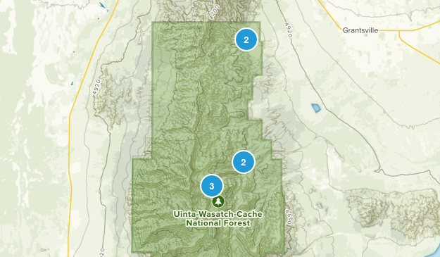 Best Trails in Deseret Peak Wilderness - Utah | AllTrails