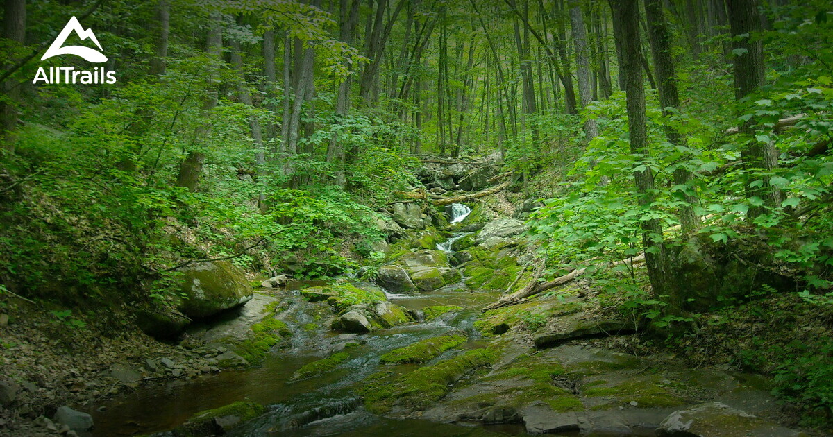 Best hikes and trails in Thunder Ridge Wilderness | AllTrails