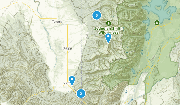 Best Trails in Jedediah Smith Wilderness - Wyoming | AllTrails
