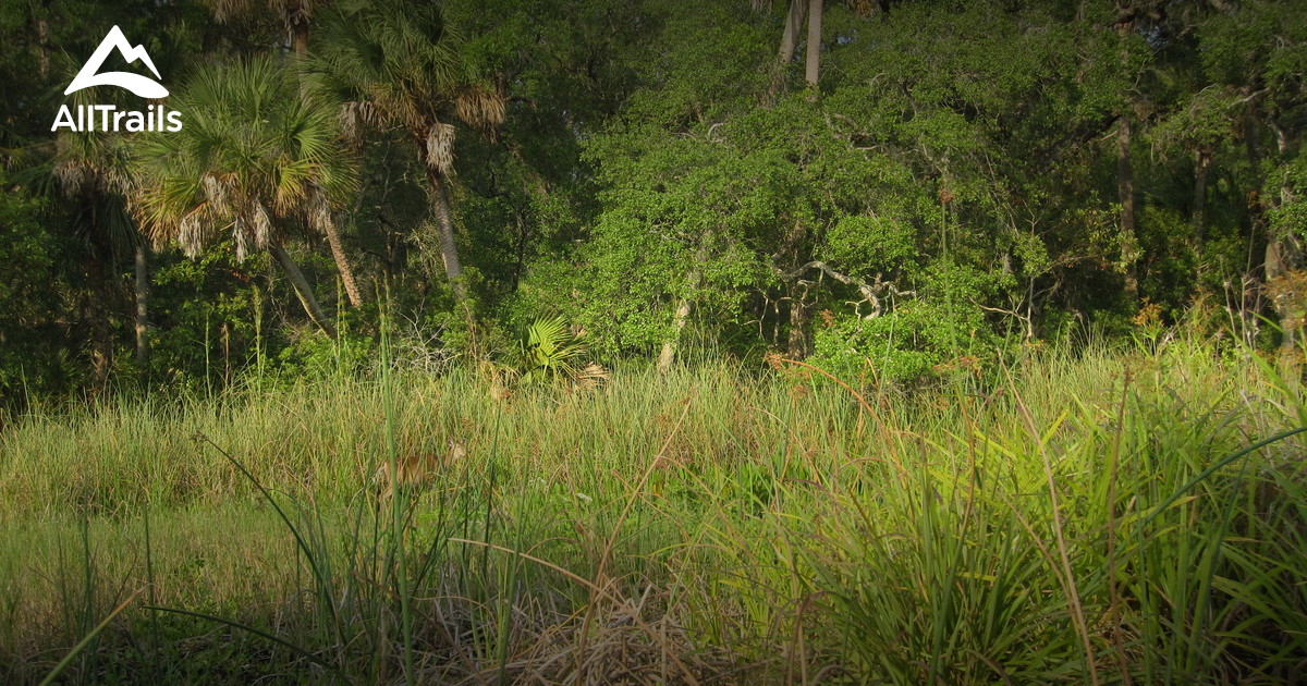 Best Trails in Juniper Prairie Wilderness - Florida | AllTrails