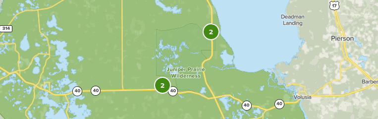 Best Trails in Juniper Prairie Wilderness - Florida | AllTrails