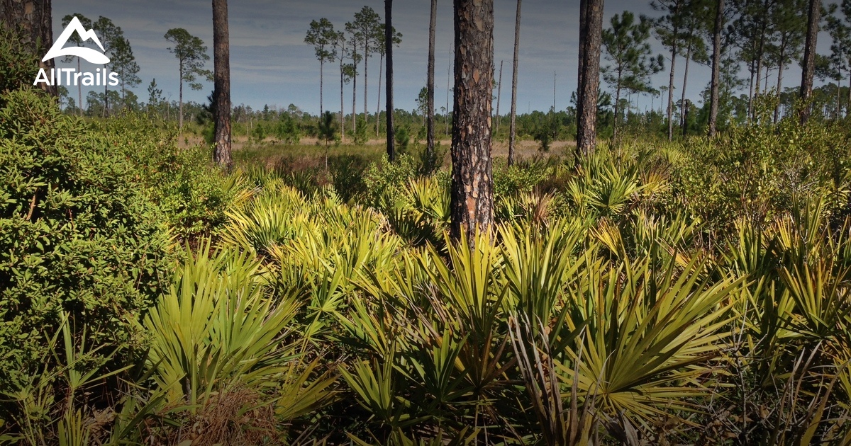 Best trails in Juniper Prairie Wilderness, Florida | AllTrails