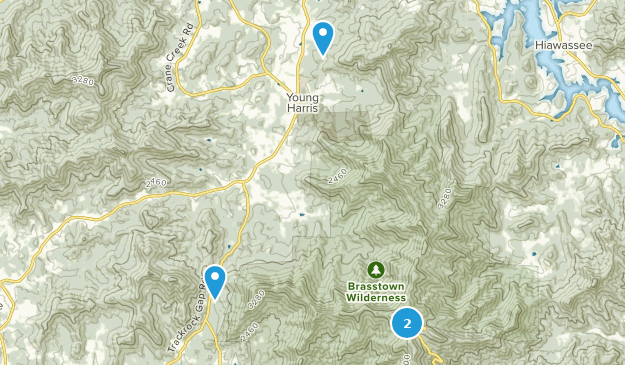 Best Trails in Brasstown Wilderness - Georgia | AllTrails