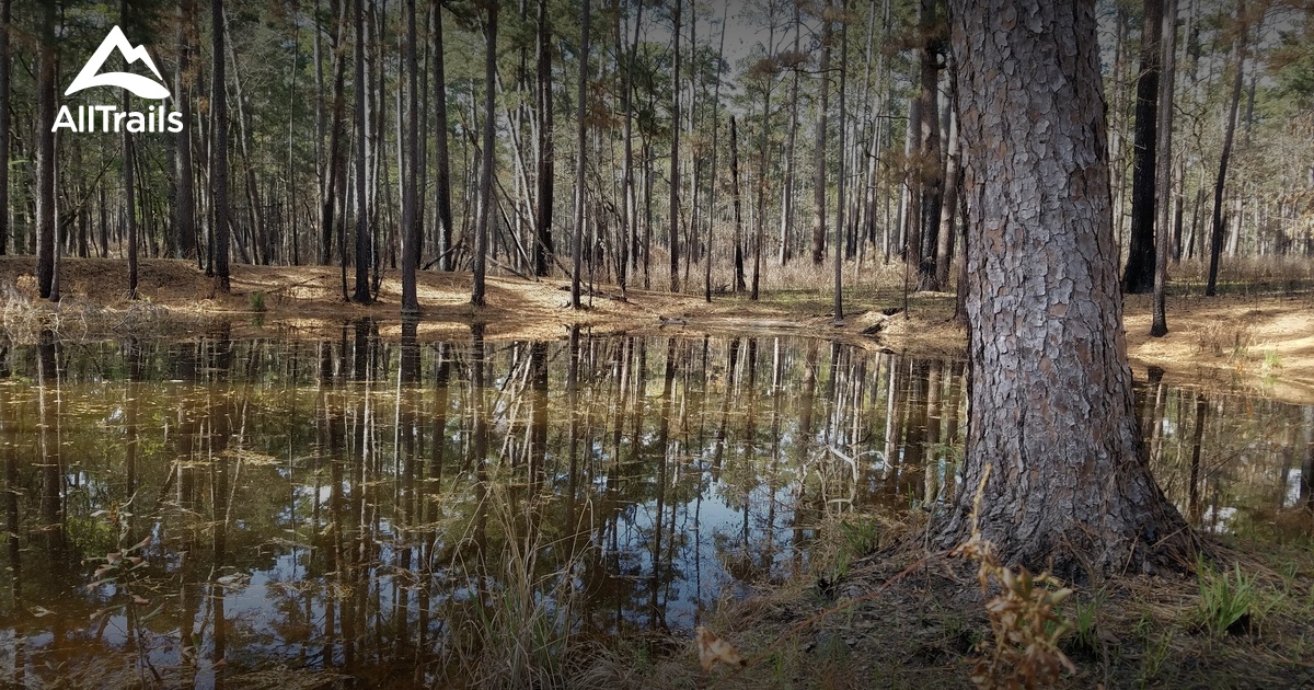 Best hikes and trails in Little Lake Creek Wilderness | AllTrails