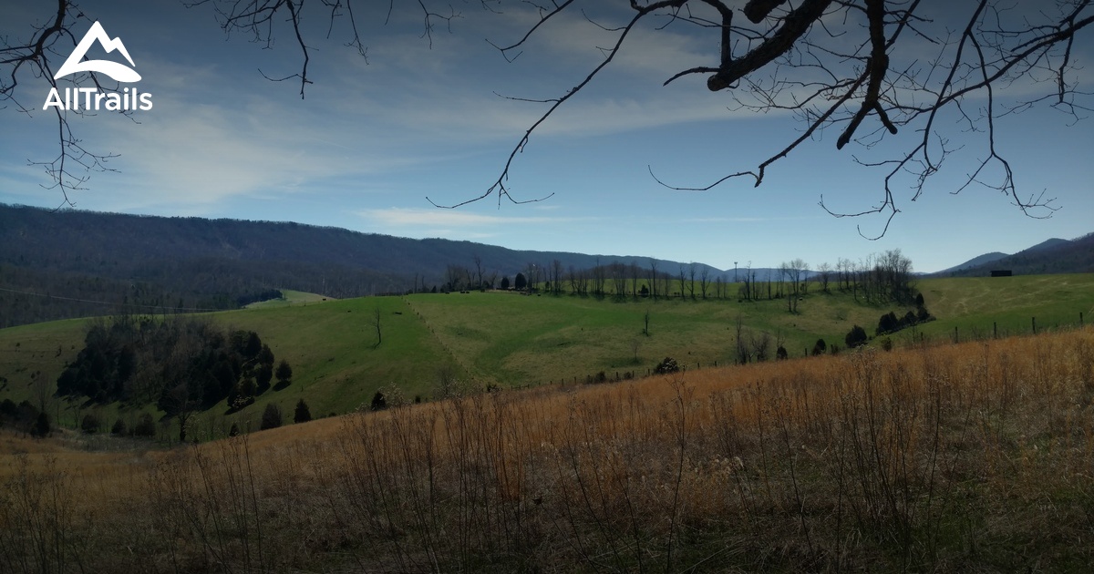 Mountain Lake Wilderness : les meilleurs itinéraires avec fleurs ...