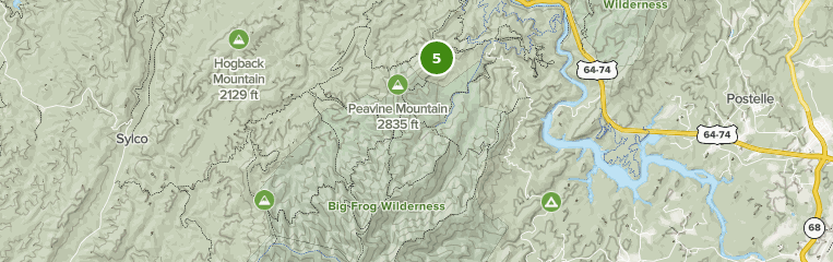 Best Trails in Big Frog Wilderness - Georgia | AllTrails