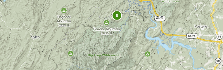 Best trails in Big Frog Wilderness, Georgia | AllTrails
