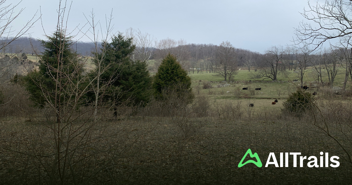 Best hikes and trails in Peters Mountain Wilderness | AllTrails