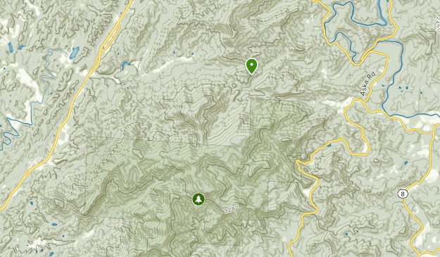 Best Trails in Rich Mountain Wilderness - Georgia | AllTrails