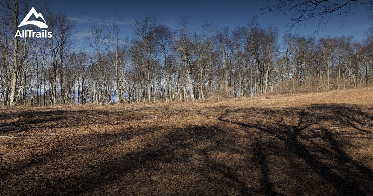 Best hikes and trails in Rich Mountain Wilderness | AllTrails