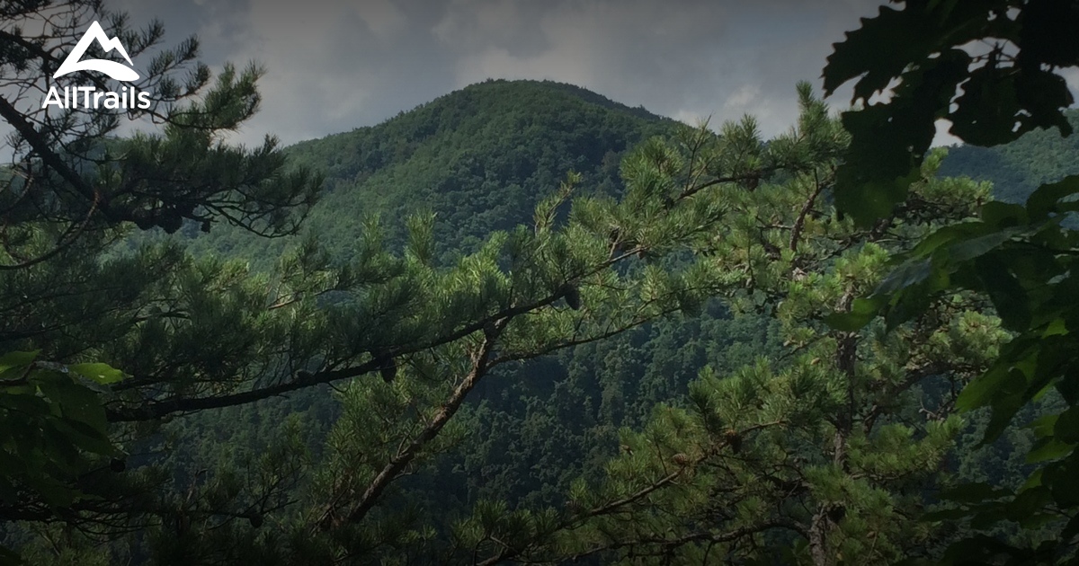 Best Trails in Pond Mountain Wilderness - Tennessee | AllTrails