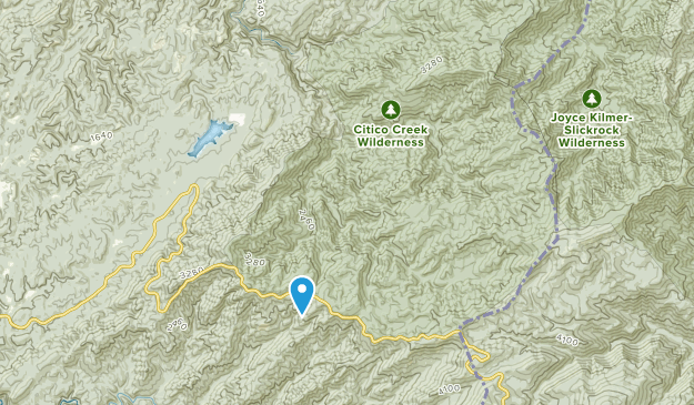 Best Trails in Citico Creek Wilderness - Tennessee | AllTrails