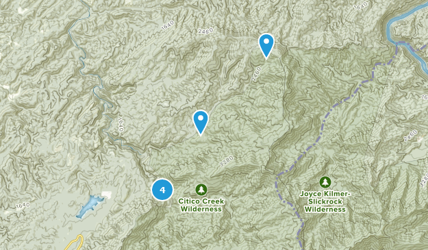 Best Trails in Citico Creek Wilderness - Tennessee | AllTrails