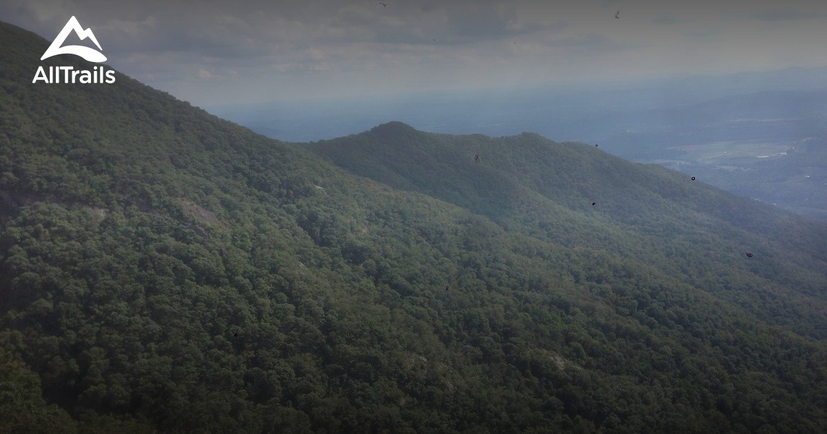 Best Trails in Three Ridges Wilderness - Virginia | 73 Photos & 41 ...