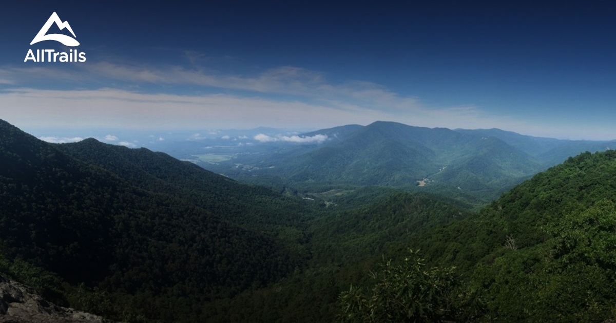 Best Trails in Three Ridges Wilderness - Virginia | AllTrails