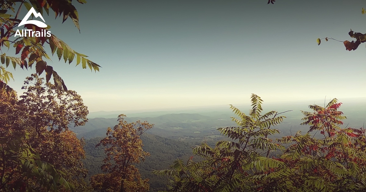 Best Trails in Three Ridges Wilderness - Virginia | AllTrails