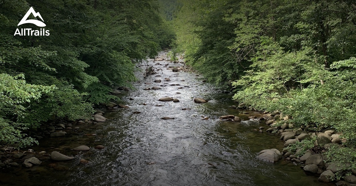 Best hikes and trails in Three Ridges Wilderness | AllTrails