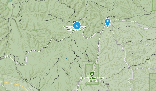 Best Trails in Charles C. Deam Wilderness - Indiana | AllTrails