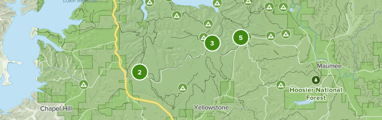 Best Trails in Charles C. Deam Wilderness - Indiana | AllTrails