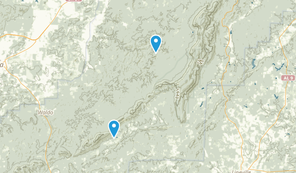 Best Trails in Cheaha Wilderness - Alabama | AllTrails