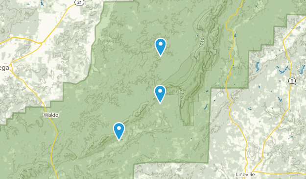 Best Trails in Cheaha Wilderness - Alabama | AllTrails