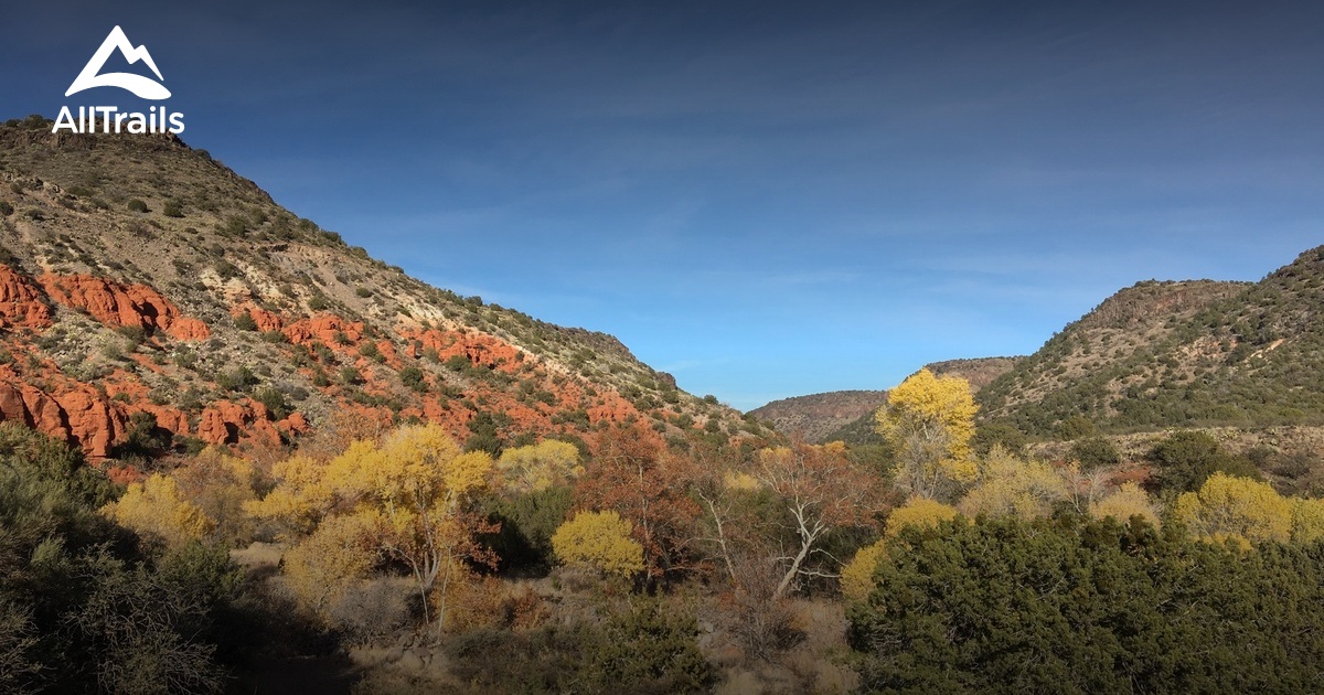 Best hikes and trails in Wet Beaver Wilderness | AllTrails