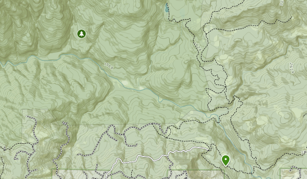 Best Trails in Middle Santiam Wilderness - Oregon | AllTrails