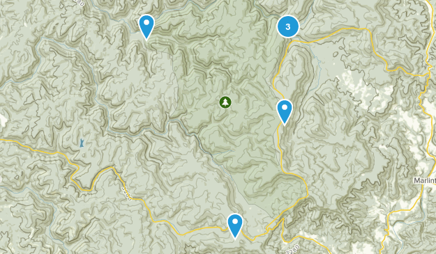 Best Trails in Cranberry Wilderness - West Virginia | AllTrails