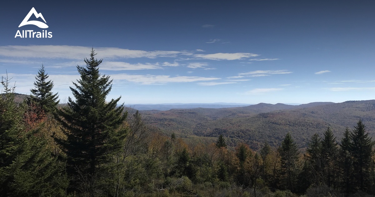 Best Trails in Cranberry Wilderness - West Virginia | AllTrails