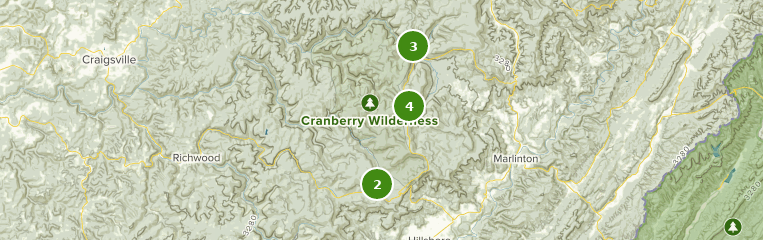 Best Trails in Cranberry Wilderness - West Virginia | AllTrails
