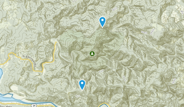 Best Trails in Drift Creek Wilderness - Oregon | AllTrails