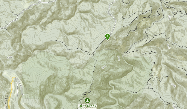 Best Trails in Drift Creek Wilderness - Oregon | AllTrails