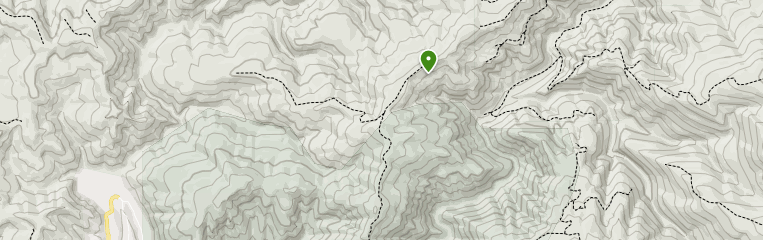 Best Trails in Drift Creek Wilderness - Oregon | AllTrails
