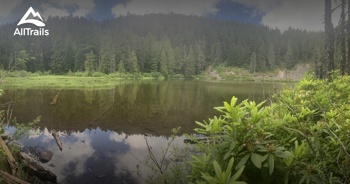 Best hikes and trails in Clackamas Wilderness | AllTrails