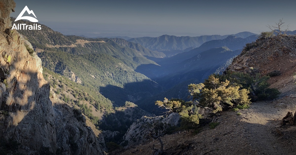 10 Best hikes and trails in Pleasant View Ridge Wilderness | AllTrails