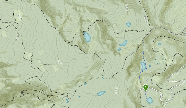 Best Trails in Roaring River Wilderness - Oregon | AllTrails