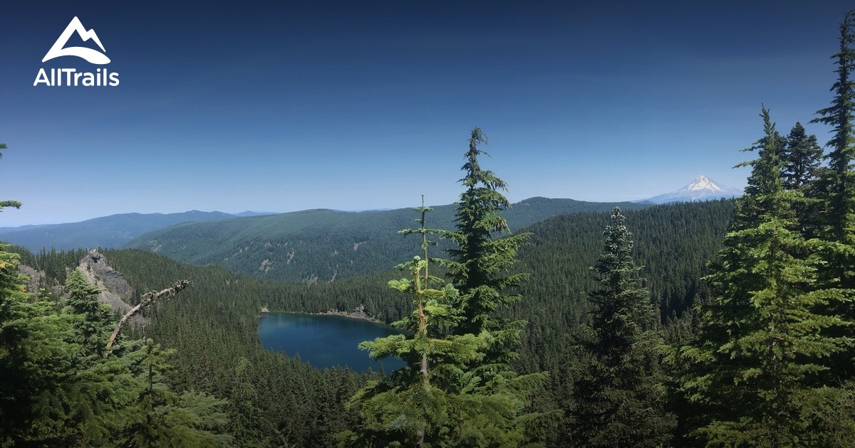 10 Best hikes and trails in Roaring River Wilderness | AllTrails