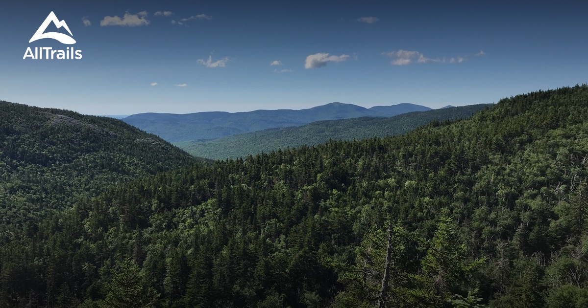 Best dog-friendly trails in Wild River Wilderness | AllTrails