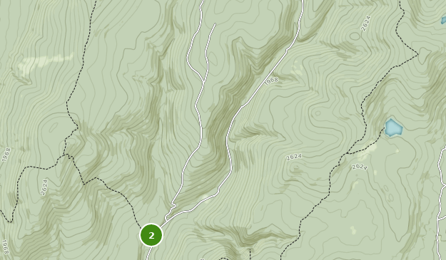 Best Trails in Glastenbury Wilderness - Vermont | AllTrails