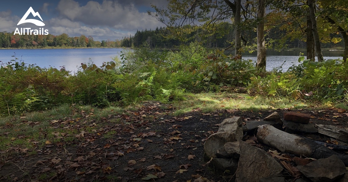 Best Trails in Glastenbury Wilderness - Vermont | AllTrails