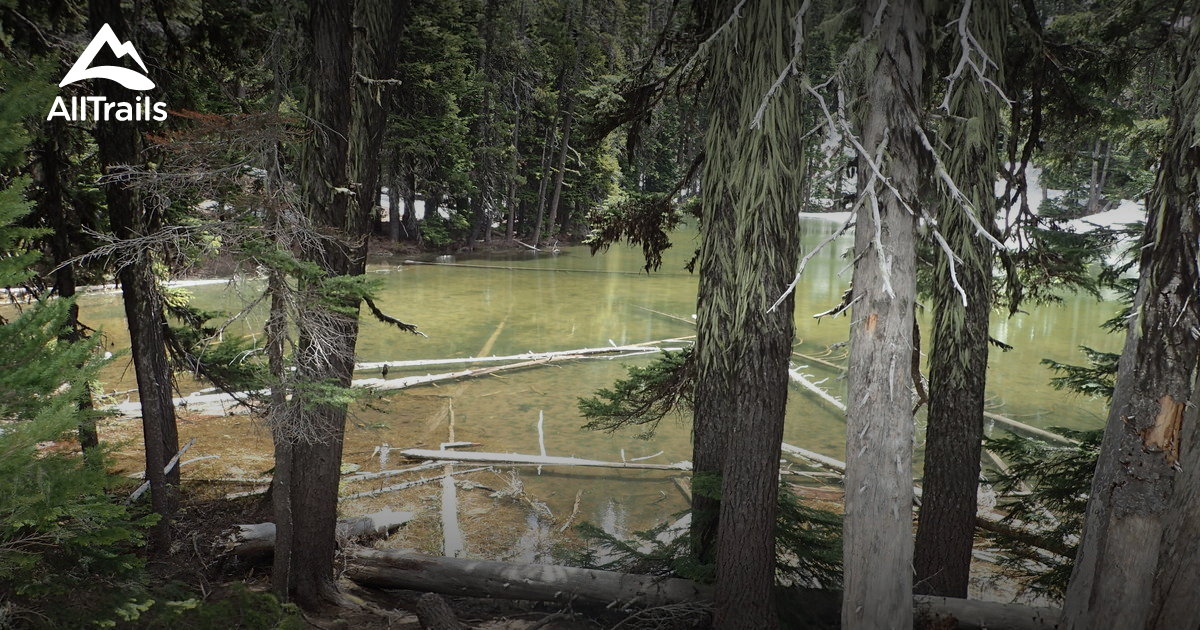Best Trails in Badger Creek Wilderness - Oregon | AllTrails