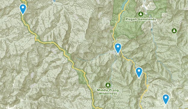 Best Trails in Middle Prong Wilderness - North Carolina | AllTrails