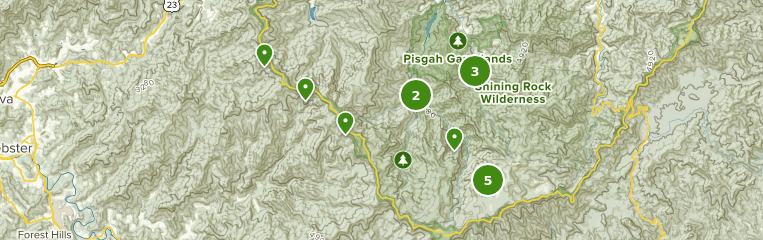 Best Trails in Middle Prong Wilderness - North Carolina | AllTrails