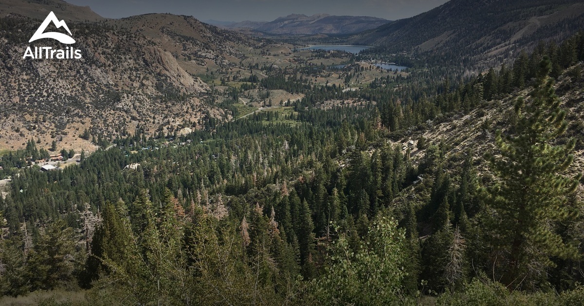 Best backpacking trails in Owens River Headwaters Wilderness | AllTrails