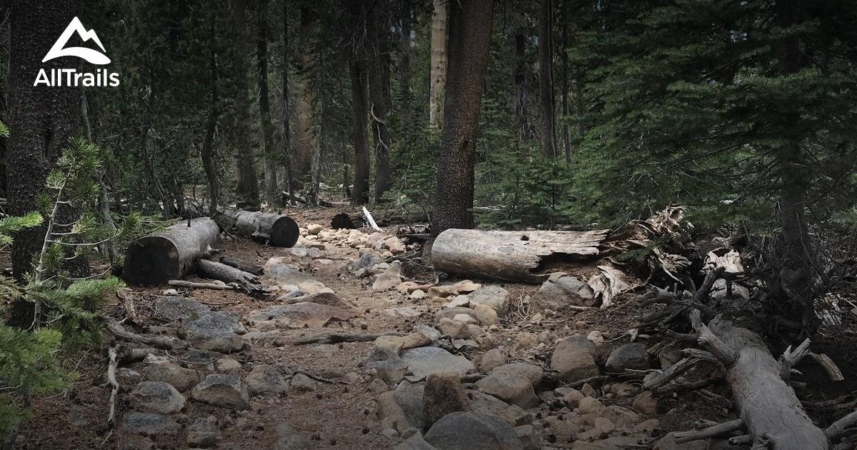 Best Trails in Dinkey Lakes Wilderness - California | AllTrails